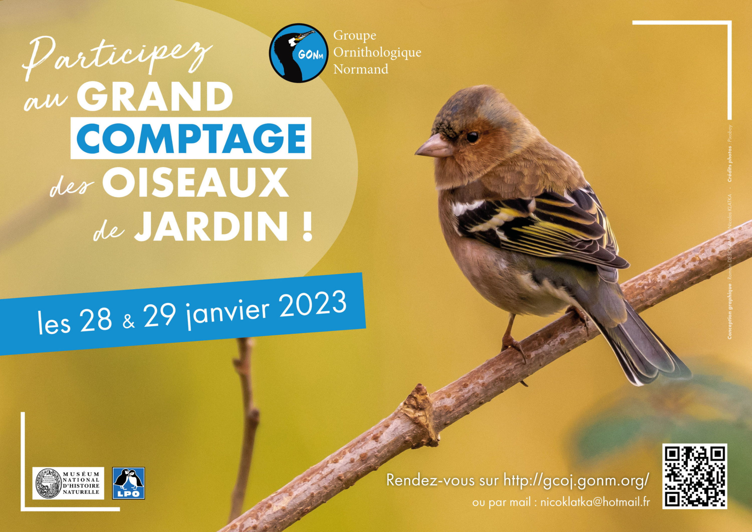 Grand comptage des oiseaux - Mairie de Rives-en-Seine